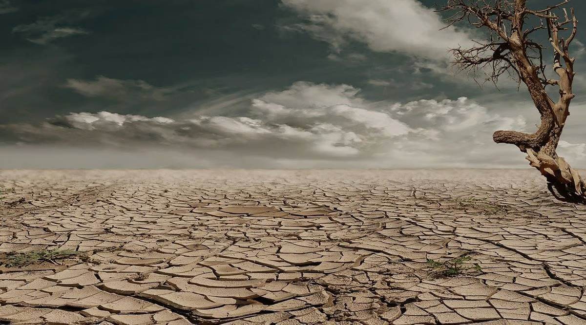 जळगाव जिल्ह्यातील १४ तालुक्यातील ६७ महसूली मंडळामध्ये दुष्काळसदृश्य ...